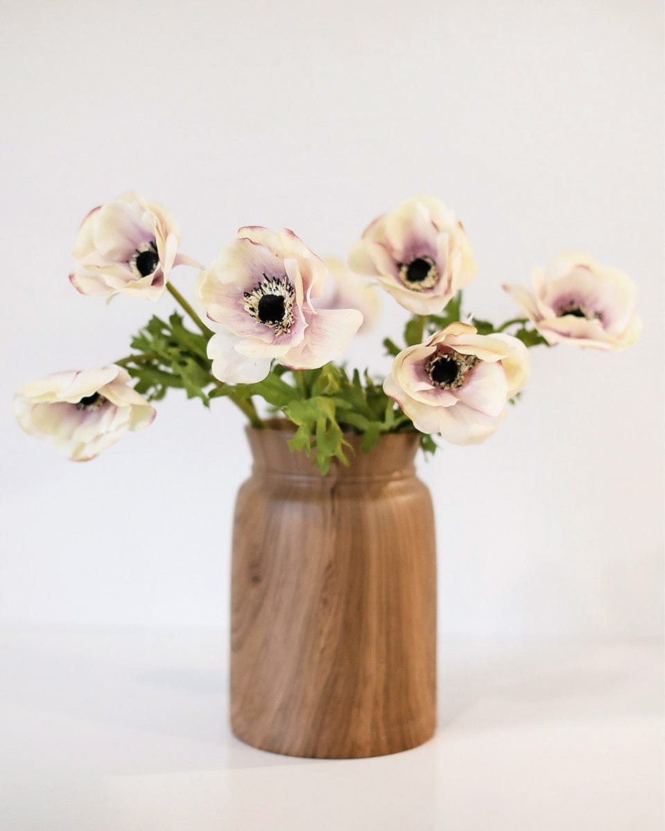 Prestige Botanicals Anemones Collection