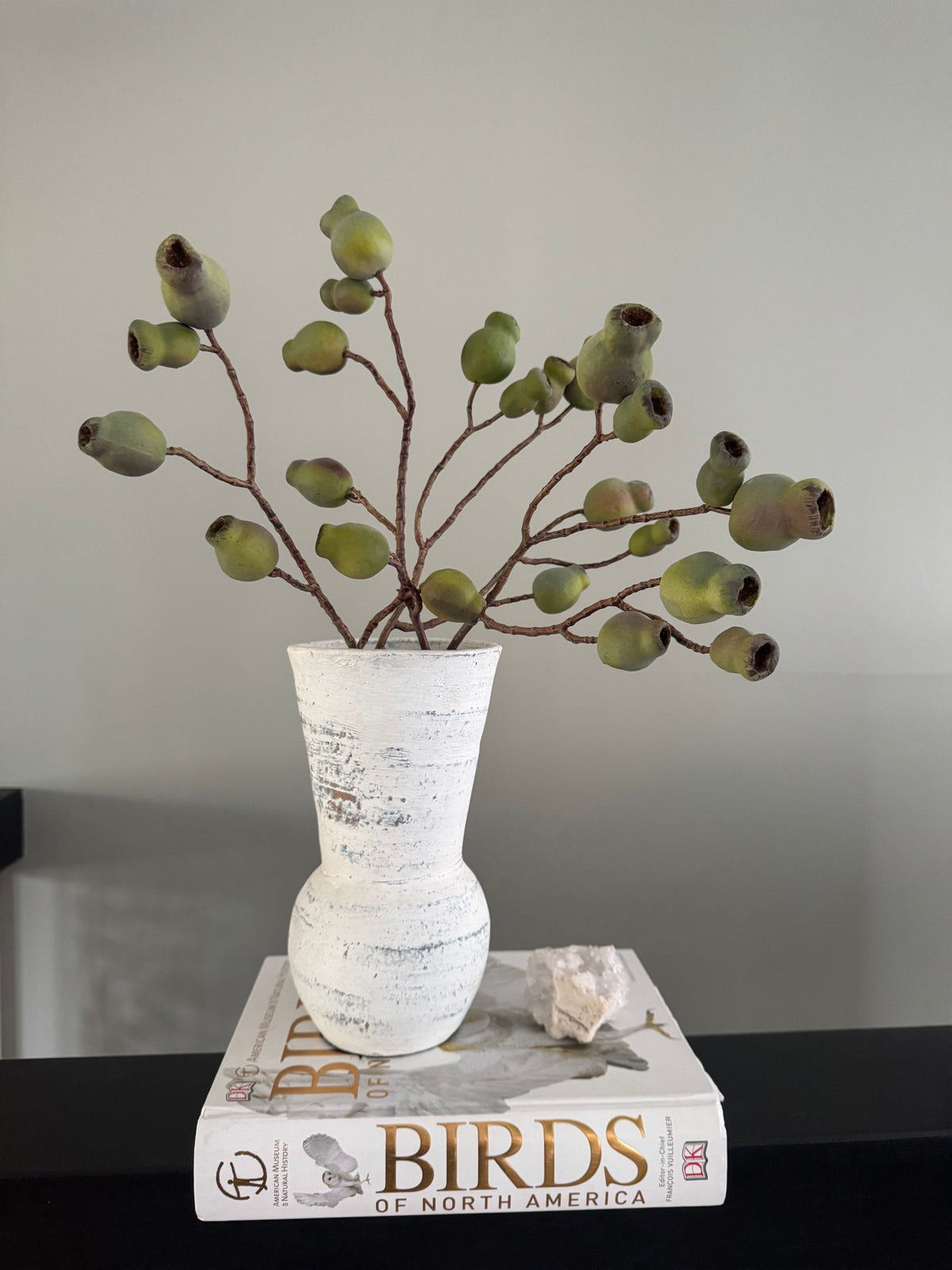 Artificial Gum Nut Pods Branch 24.5"