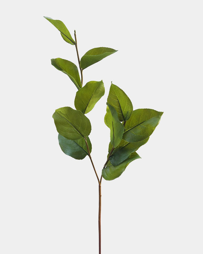 Artificial Salal Leaf Foliage 23"
