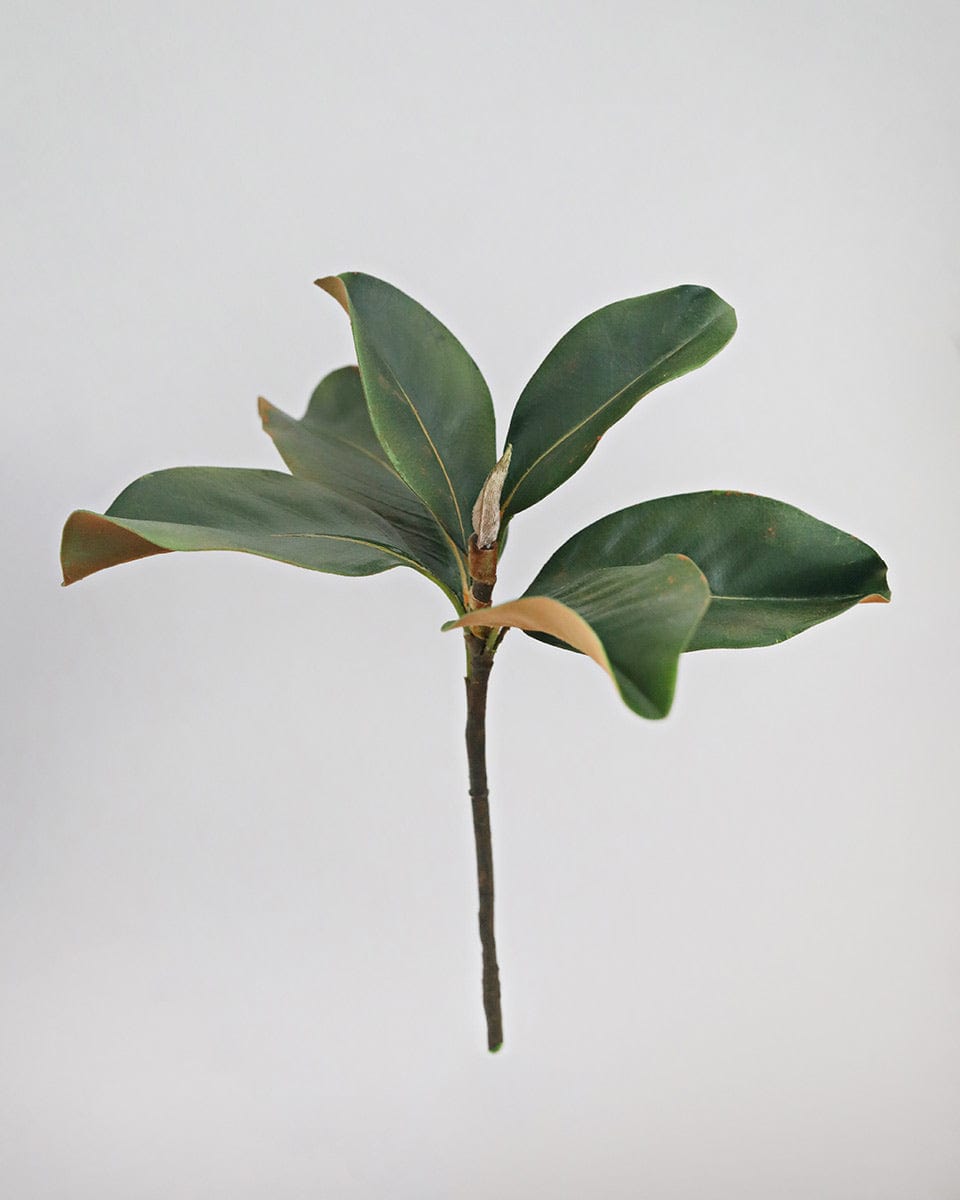 Artificial Magnolia Leaf Spray 14"