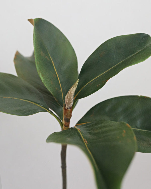 Artificial Magnolia Leaf Spray 14"