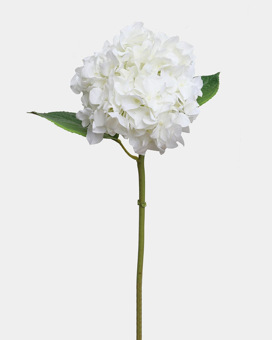 Buy Real Touch Flowers Online: Lifelike & Affordable
